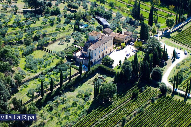 Luch Time Tasting & Winery Tour - Who Is This Tour Best For?