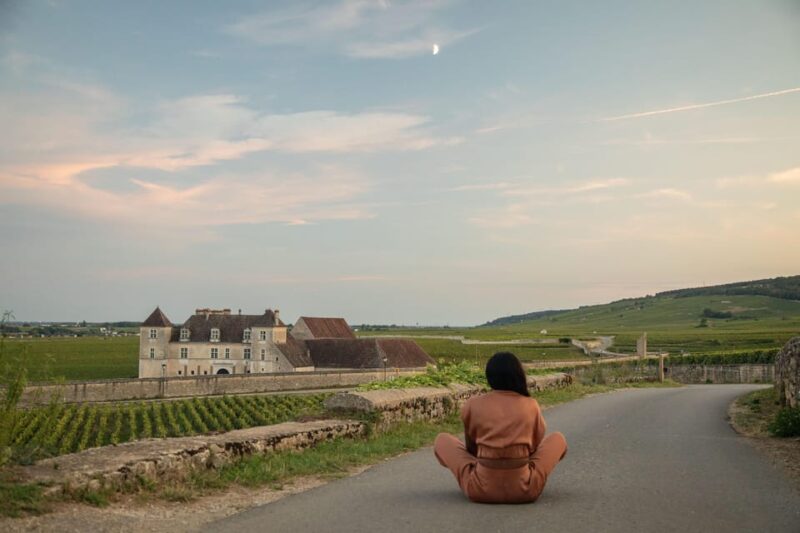 Luxury Burgundy Private Wine Tour - Why This Tour Works Well