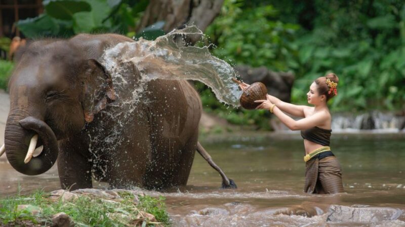 luxury Chitwan Jungle safari 4 days tour - What We Love About This Tour