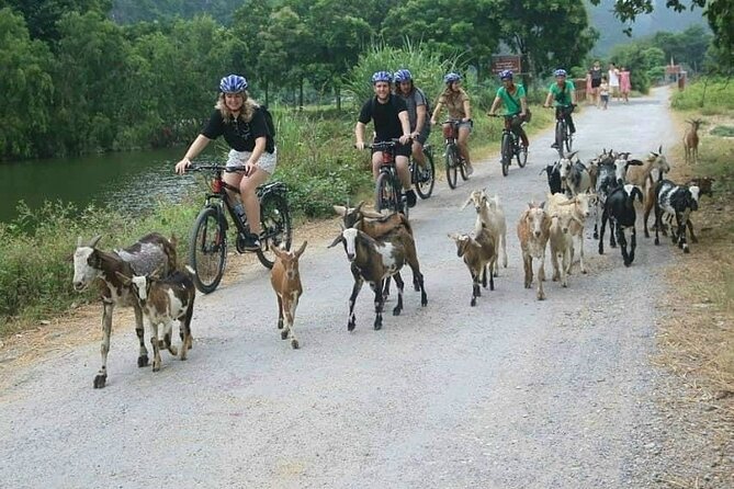 Luxury Small Group Tour in Tam Coc, Mua Cave, Bich Dong Pagoda - Who Will Benefit Most from This Tour?