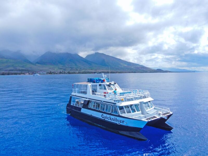 Ma'alaea Harbor: Whale Watching Tour Aboard Power Catamaran - Who Should Consider This Tour?