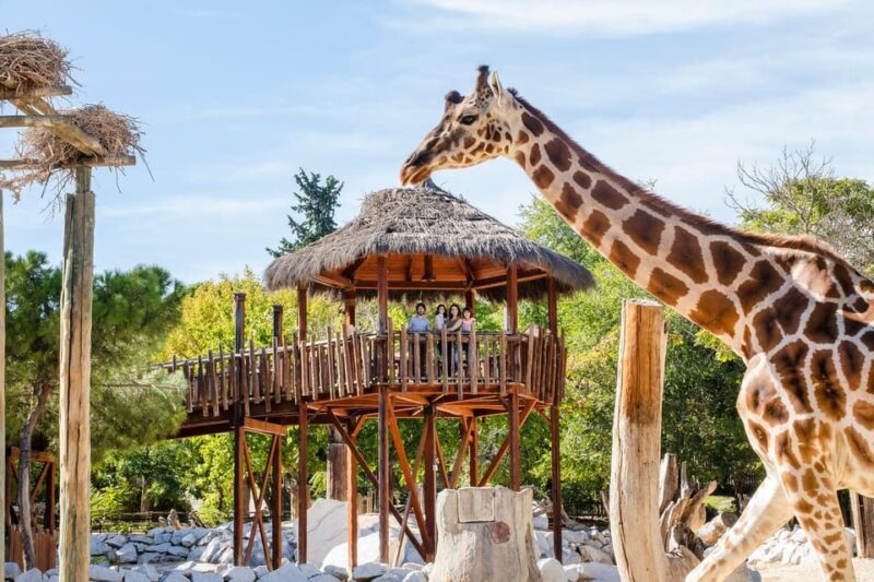 Madrid: Zoo Aquarium Madrid Ticket - What Makes This Experience Stand Out