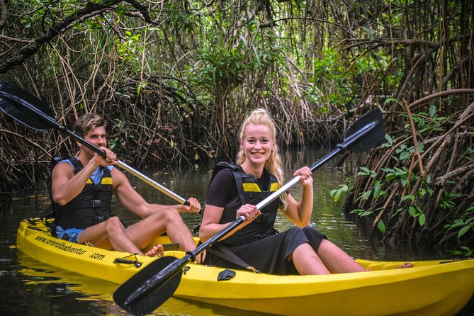 Madu River Sunrise Mangrove Kayaking - Value and Practical Considerations