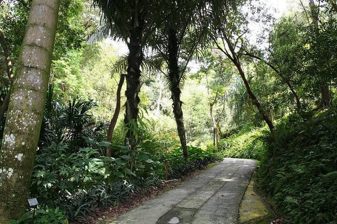 Malaysia: Penang Tropical Spice Garden Guided Tours Tickets - Who Should Consider Visiting?