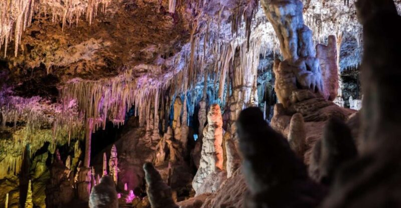 Mallorca: Day Trip to Caves of Hams & Optional Dinosaurland - Visiting Dinosaurland: A Prehistoric Playground