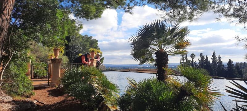 Mallorca: West Coast & Orange Valley Minbustour GERMAN GUIDE - Review Highlights & Authentic Perspectives