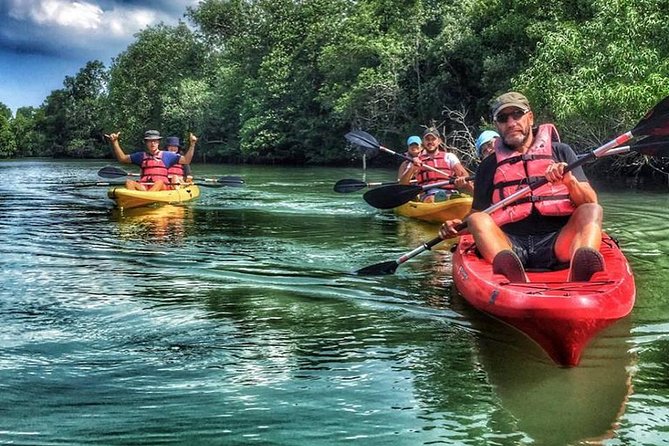 Mangrove Kayaking Adventure in Singapore - Detailed Breakdown of the Experience