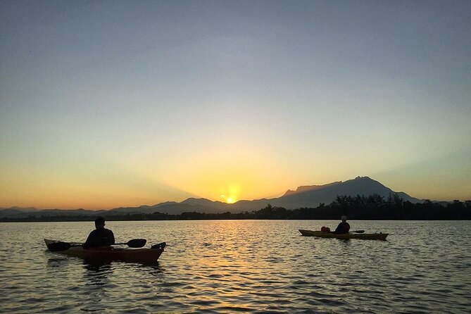 Mangrove Kayaking Experience in Borneo - The Authentic Beauty of Borneo’s Mangroves