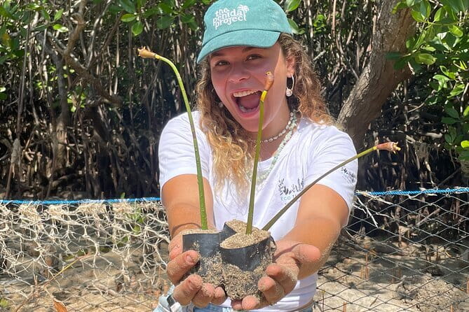 Mangrove Reforestation and Exploration around the Nusa Islands - Analyzing the Value: Is It Worth It?
