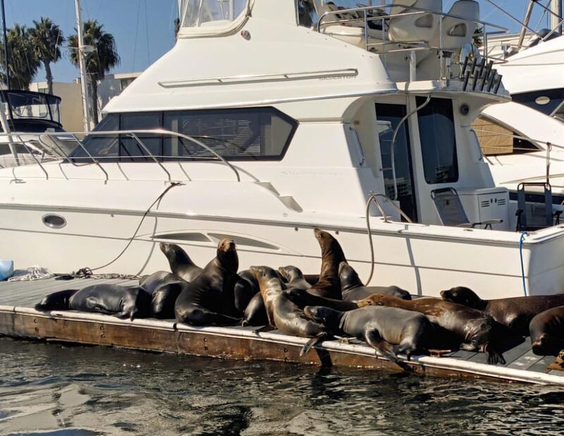 Marina Del Rey: Romantic Cruise, Dinner Charcuterie or Sushi - Why This Experience Might Be Perfect for You