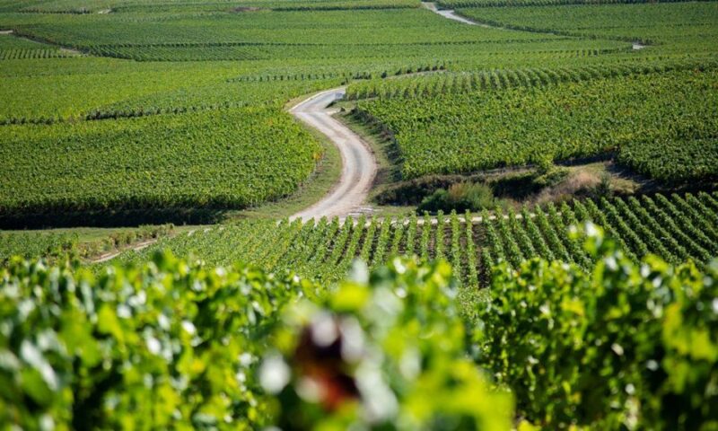Marne: 2-Day Champagne Tour with Tastings and Lunches - What Does the Price Cover and Is It Worth It?