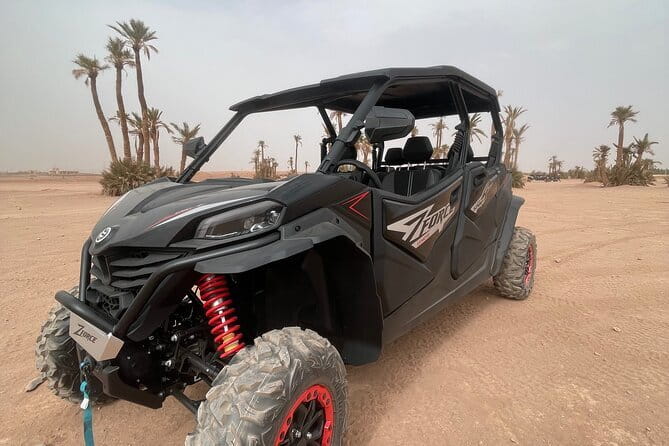 Marrakech: Buggy ride in the palm grove with tea break - Who Would Enjoy This Tour?