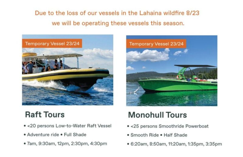 Maui: Guided Whale Watching Tour on Eco Raft - An In-Depth Look at the Maui Whale-Watching Tour