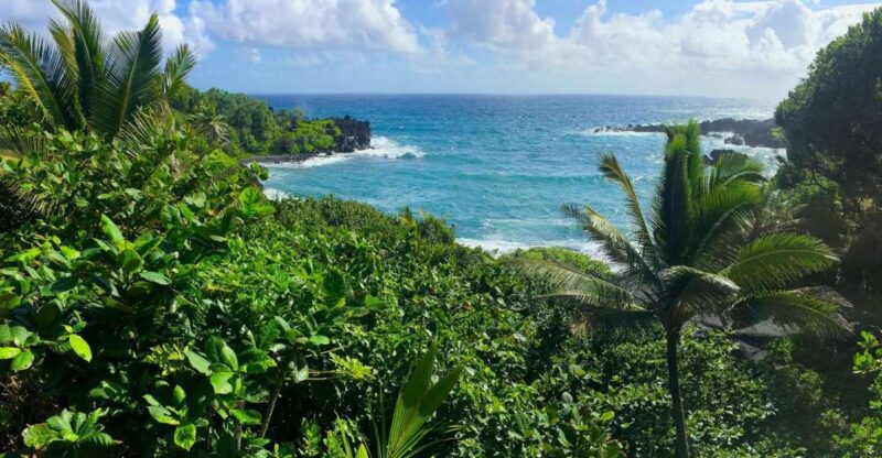 Maui: Road to Hana Sightseeing Tour - Transportation, Group Size, and Overall Value