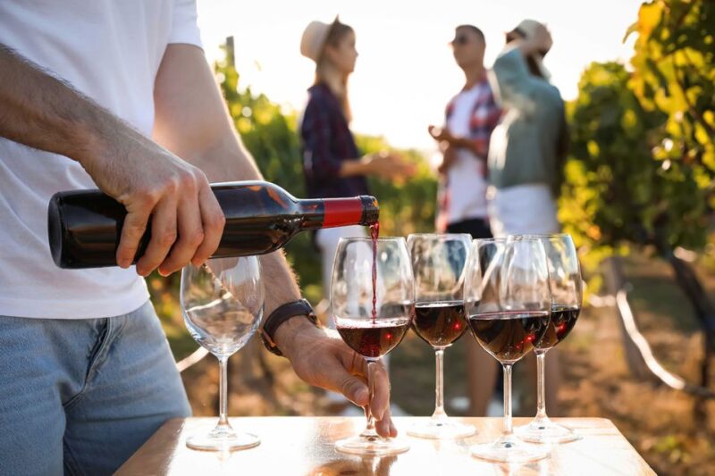 Medoc Tour : Margaux, Saint Estèphe and greediness - The Value of This Experience