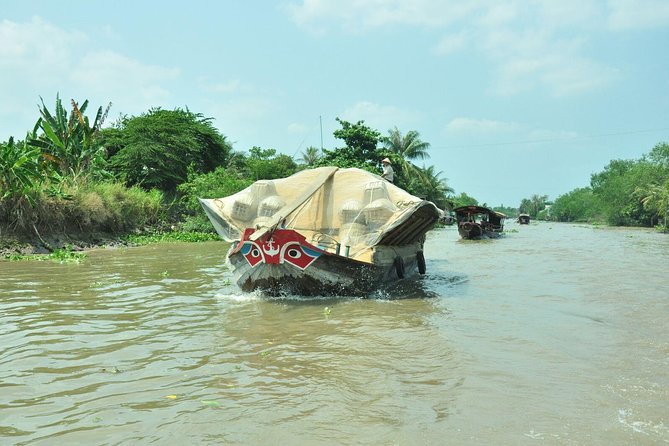 Mekong Delta Private Tour from Ho Chi Minh Ports-Shore Excursion - Who Will Love This Tour?