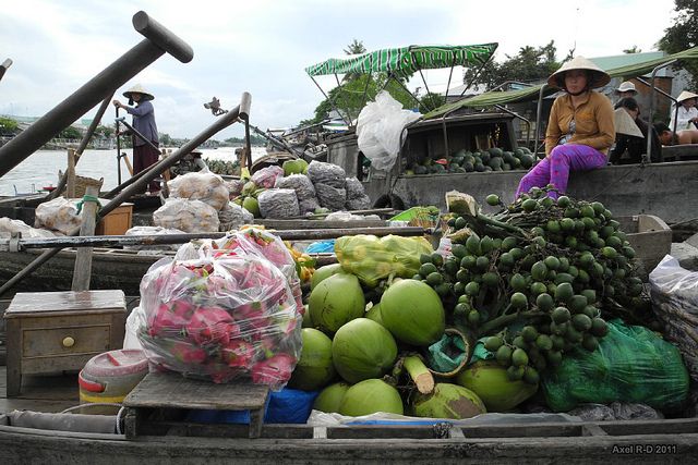 Mekong tour: Cai Be - Can Tho Floating Market 2 days - Day Two: Floating Markets and Rural Cycling