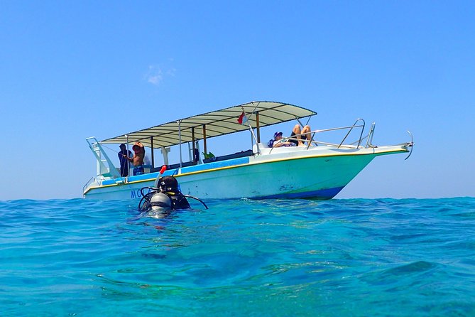 Menjangan island for Certified Scuba Divers full day boat trip, 2 dives + lunch - What You Can Expect: A Day in Bali’s Marine Paradise