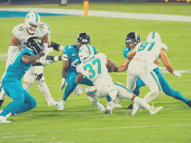 Miami Dolphins NFL Football Game Ticket - Who Should Consider This Experience?