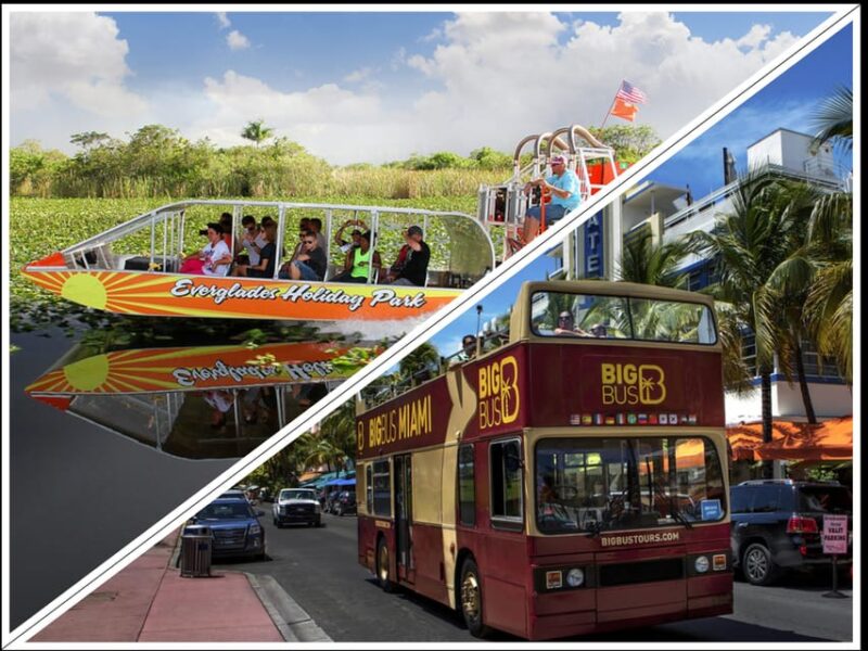 Miami: Everglades Adventure & Big Bus Hop-on Hop-off Tour - Exploring the Everglades: Wildlife and Airboat Thrills