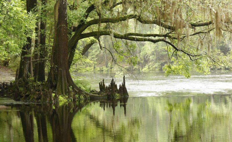 Miami: Everglades Airboat & Animal Sanctuary Tour with Photo - Breaking Down the Itinerary