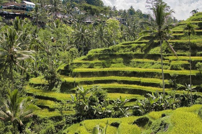 Monkey Forest, Rice Terrace & Water Temple Tour - A Closer Look at the Itinerary