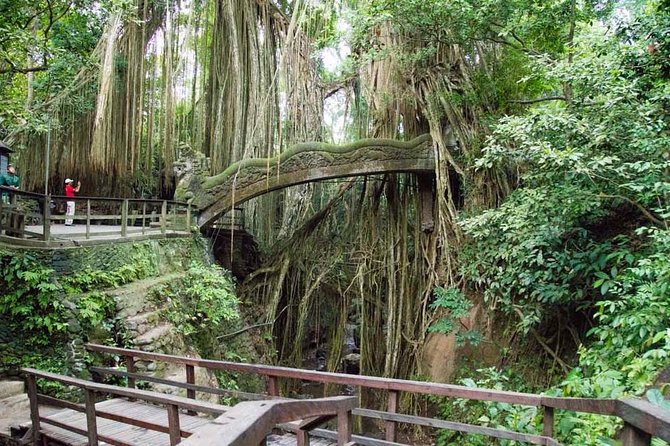 Monkey Forest Ubud Half day Tour - Final Thoughts