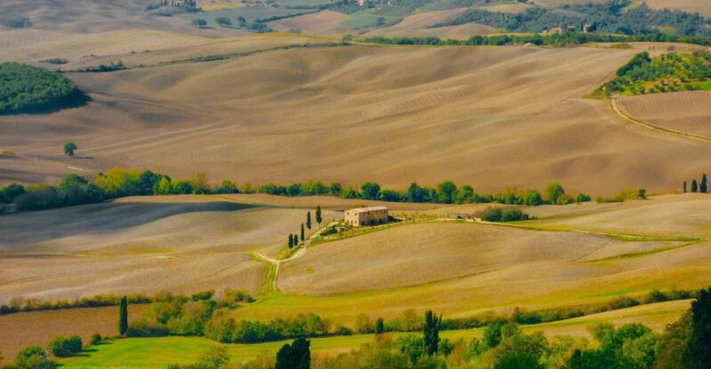 Montepulciano: Wine Tasting & Lunch in a Typical Winery - Why This Tour Works