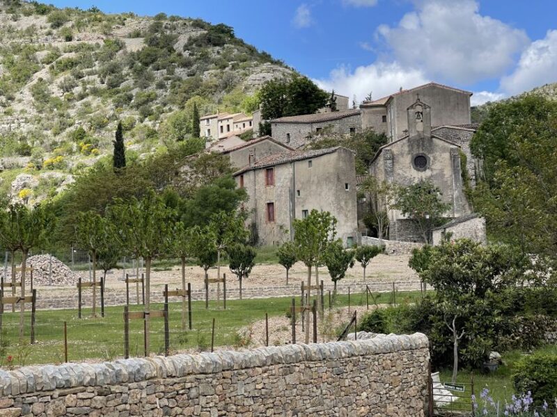 Montpellier: Visit Cirque of Navacelle and its medieval mill - Practical Details and Why They Matter