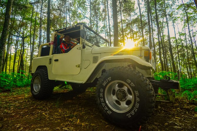 Mount Batur Trekking by 4wd Jeep - Authentic Experiences and Highlights