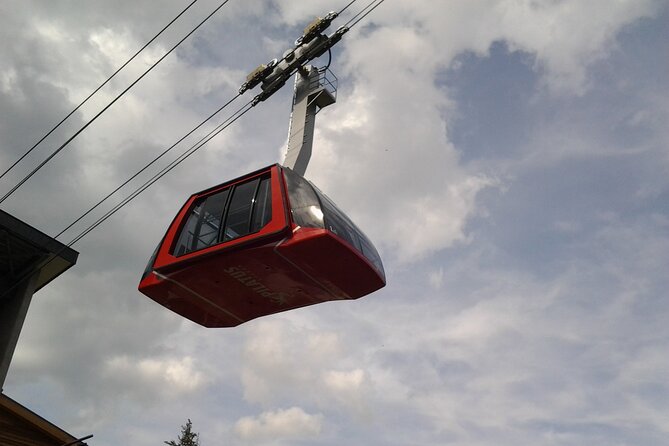 Mount Pilatus Private Tour from Basel off-season - Why This Tour Stands Out