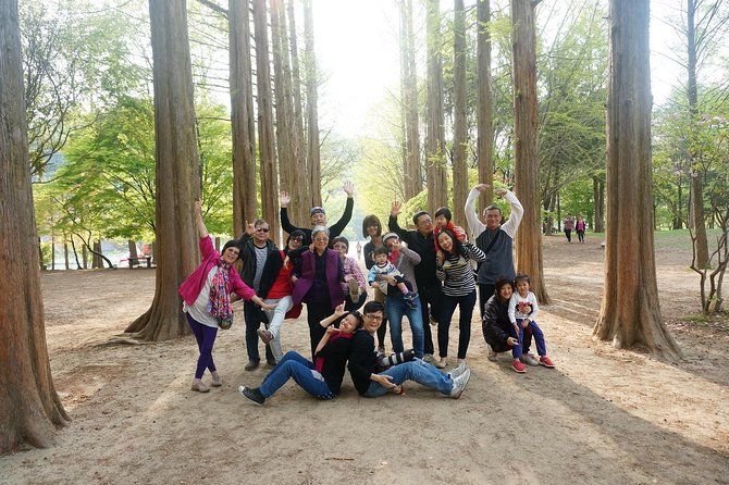 Nami Island from Seoul: Petit France and Garden of Morning Calm - What Sets This Tour Apart