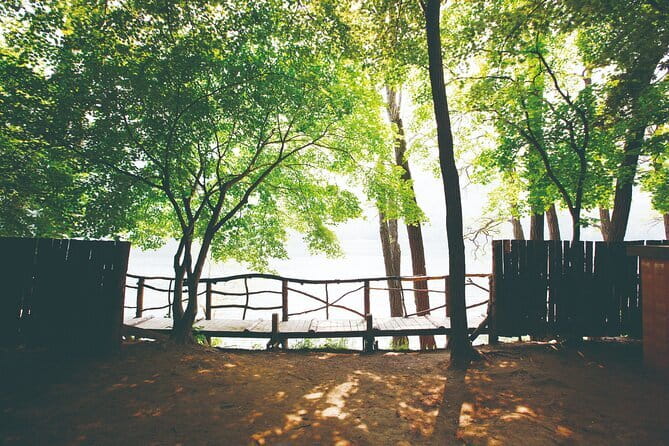 Nami Island, Garden of Morning Calm Tour with Rail Bike Option - Final Thoughts
