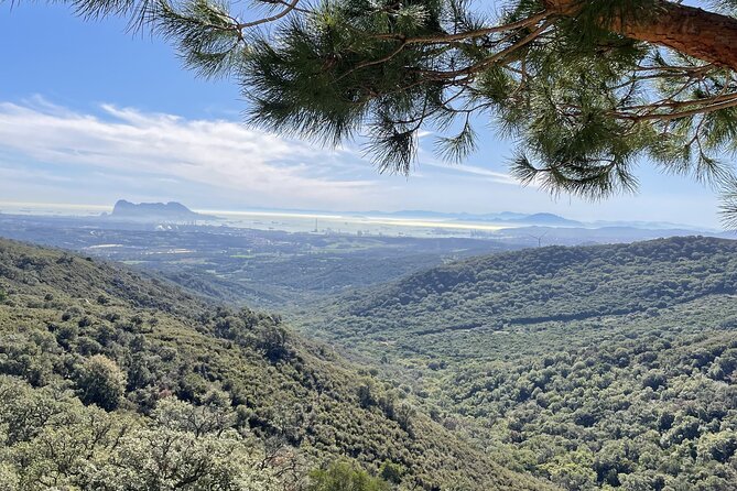 Natural Reserve on Electric Mountain Bike with Guide - Exploring the Itinerary in Detail