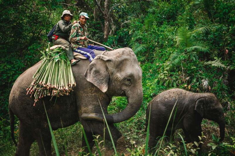 Nepal and Bhutan: 14-Day Tour with Flights - Value and Pricing Analysis