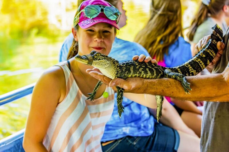 New Orleans: Bayou Swamp Tour and Oak Alley Plantation Tour - Potential Drawbacks or Considerations