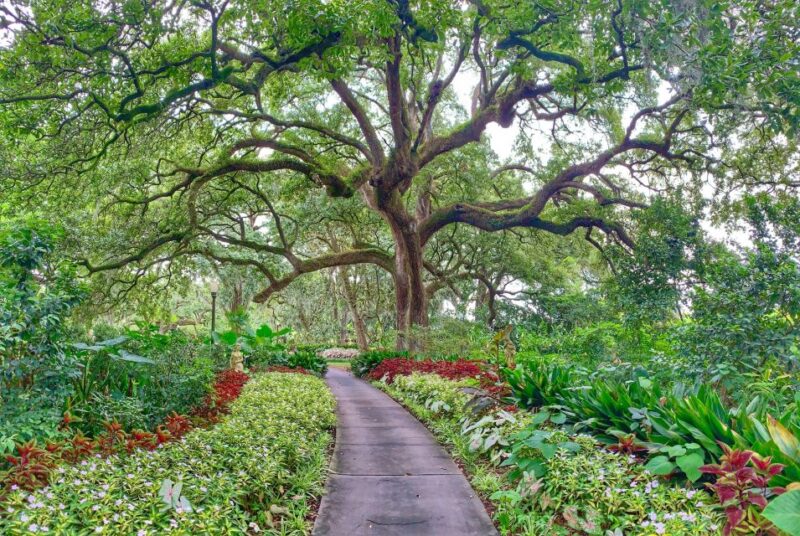 New Orleans: Houmas House Plantation Tour - Who Should Consider This Tour?