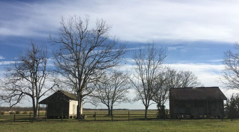 New Orleans: Laura Creole Plantation Guided Tour - The Practicalities: Value, Accessibility, and Tips