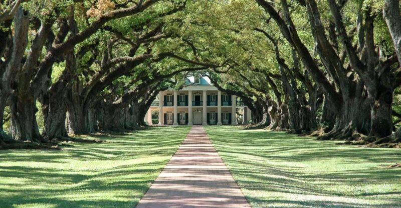 New Orleans: Single Plantation and Pontoon Swamp Day Trip - An In-Depth Look at the Experience