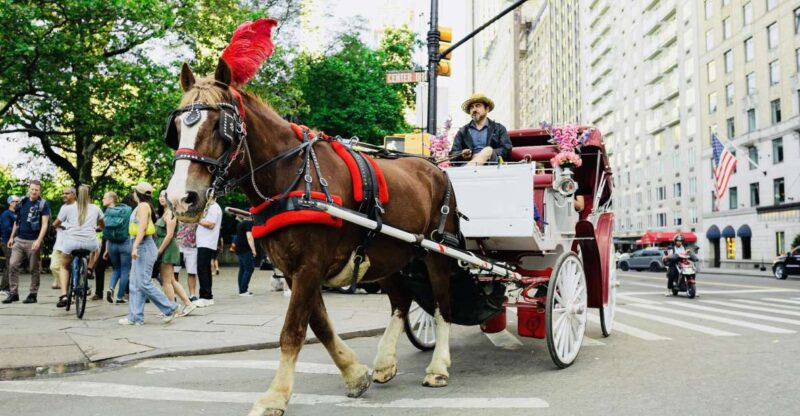 New York City: Central Park Private Horse and Carriage Tour - The Itinerary and the Sights