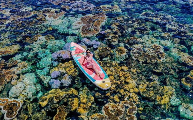 Nha Trang Scuba Diving and Island Tour Free Edited Videos - Deep Dive into the Experience
