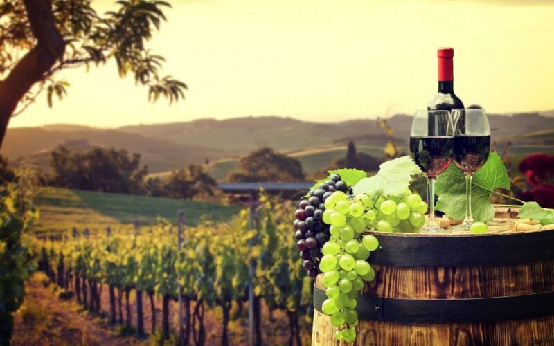 Nice: Provence Village Tour with Wine and Produce Tasting - What We Noticed from the Reviews