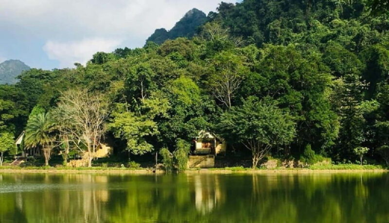 Ninh Binh : Cuc Phuong National Park One Day Group Tour - Why This Tour Delivers Value