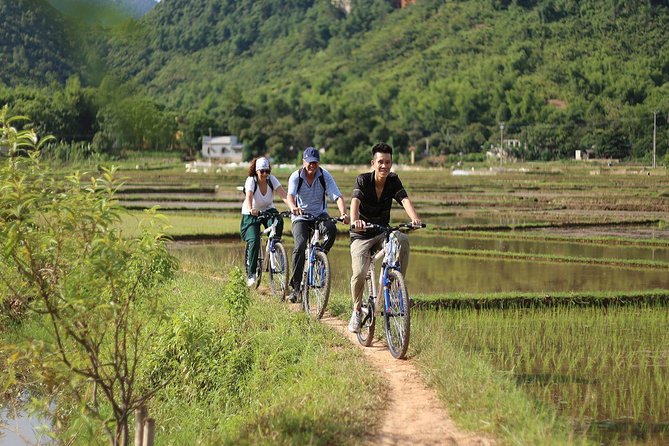 Ninh Binh-Hoa Lu-Tam Coc - Mua cave - Dragon Mountain Hiking 1 Day Tour - The Practical Side: What You Need to Know