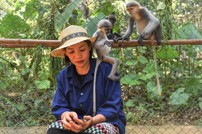 Ninh Binh One Day Cuc Phuong National Park Small Group Tour - The Value and Overall Impression