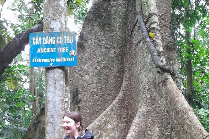 Ninh Binh : Small Group Tour Discover Cuc Phuong National Park - The Sum Up: Who Will Love This Tour?
