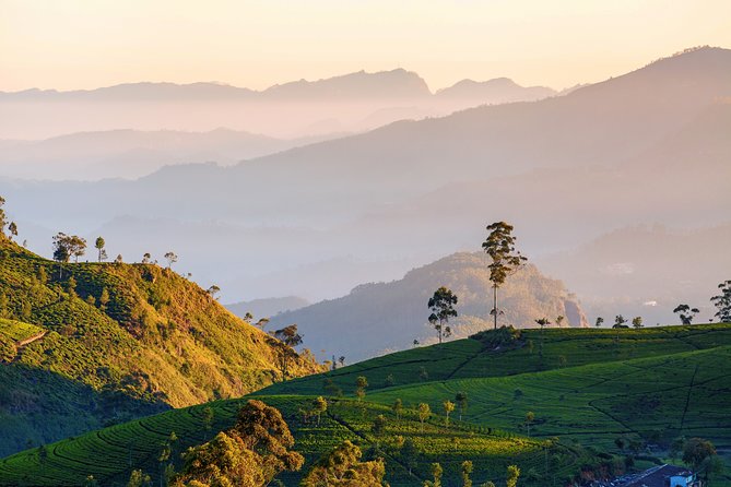 Nuwara Eliya Highlands from Kandy - What to Expect on the Itinerary