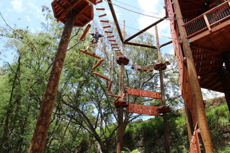 Oahu: Aerial Adventure, Climbing, & Freefall Experience - What to Expect: The Practical Details