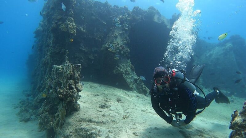 Oahu: Beginner SCUBA Dive at Electric Beach - What to Expect: A Breakdown of the Experience
