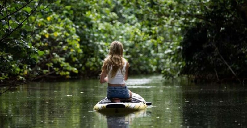 Oahu: Kahana River Stand-Up Paddleboard Rental - The Day in the Life of a Kahana River SUP Rental